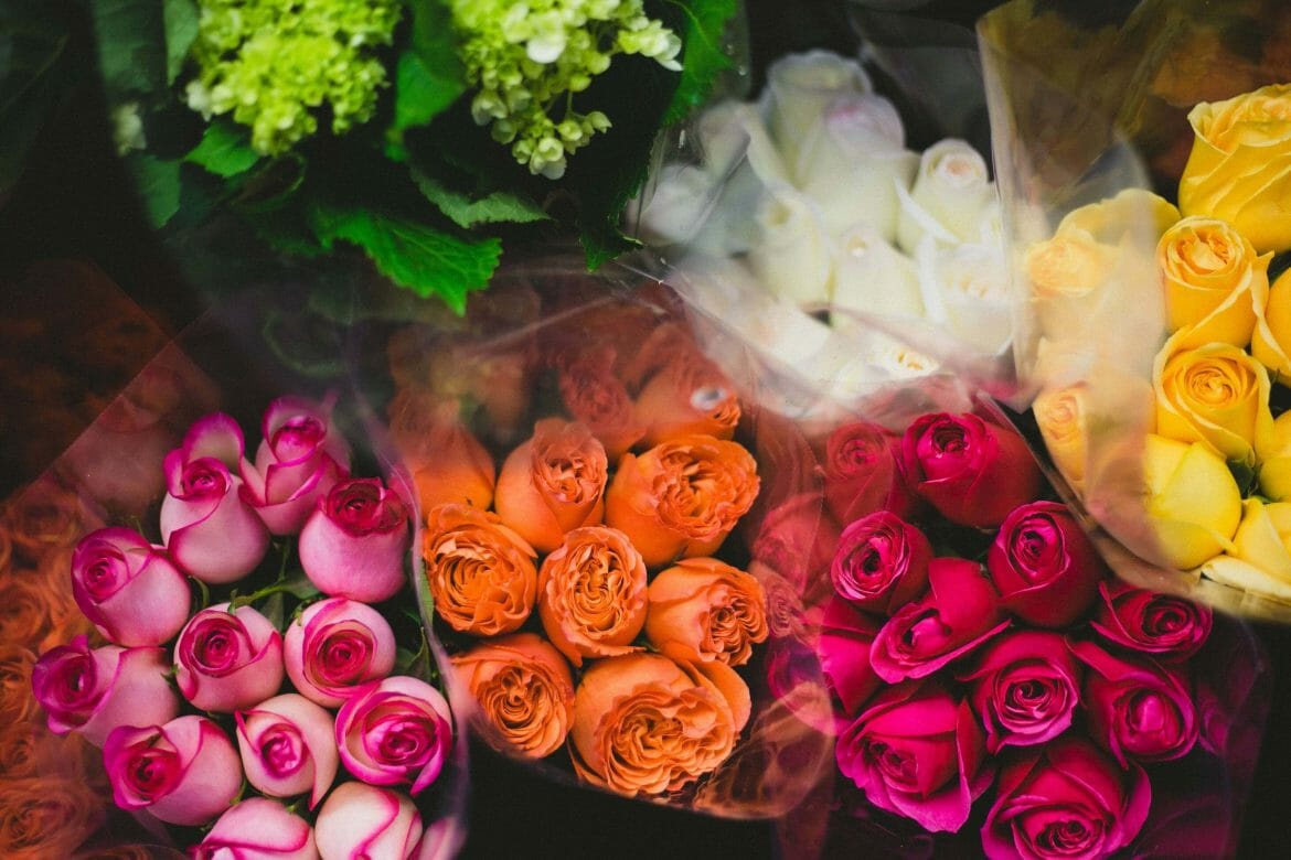 Rose Colors and Their Symbolic Meanings in Floriography - Petal Republic