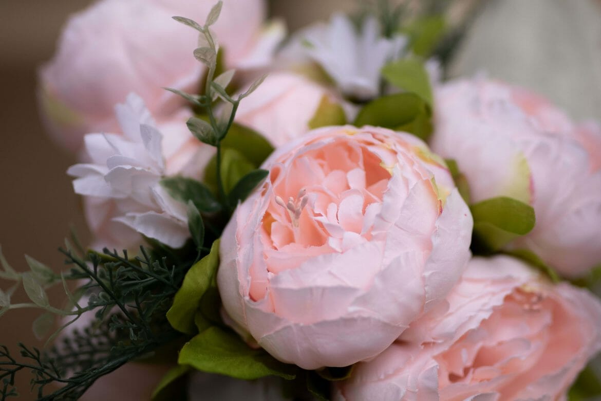 November Birth Month Flowers: Chrysanthemum and Peony - Petal Republic