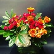 Washington DC's Best Florists: Top 10 Flower Delivery Services (2025)