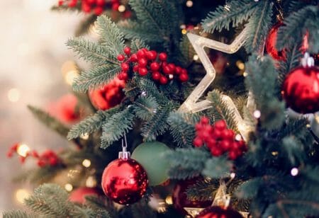 The Holly Story: Thorns, Berries, and Ancient Meanings - Petal Republic