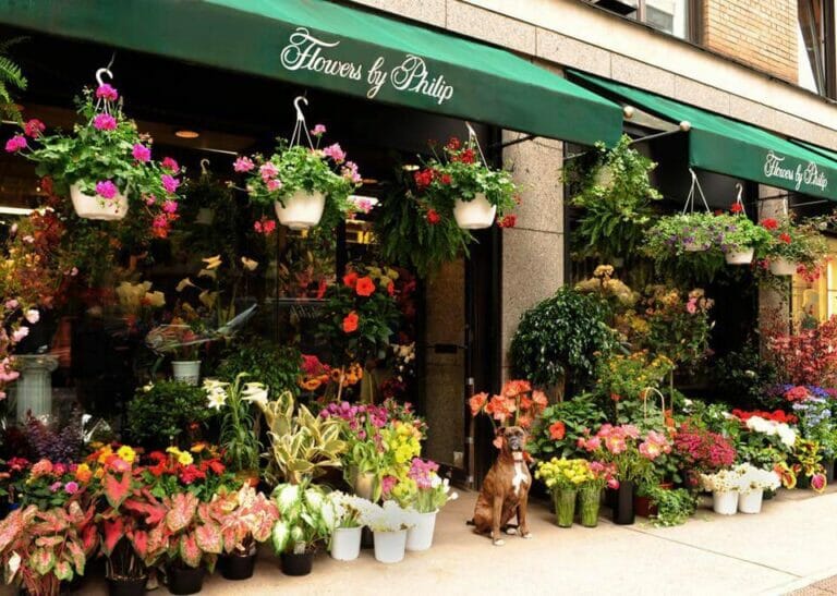 NYC Flower Delivery: 25 Leading Local Florists Hand-Tested and Reviewed ...