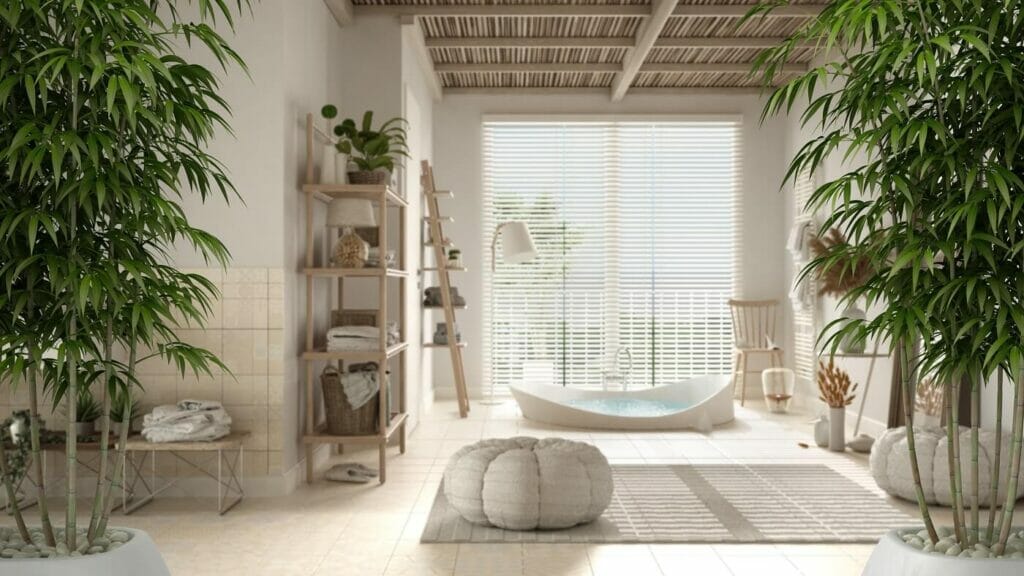 16 Best Feng Shui Plants and Where to Position Them - Petal Republic