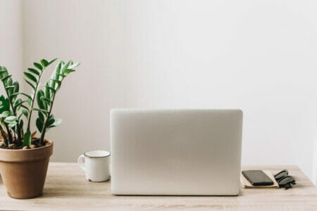 10 Best Feng Shui Plants for Your Office Desk - Petal Republic