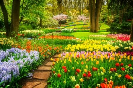 Plant, Nurture, Flourish: The 27 Benefits of a Gardening Lifestyle ...