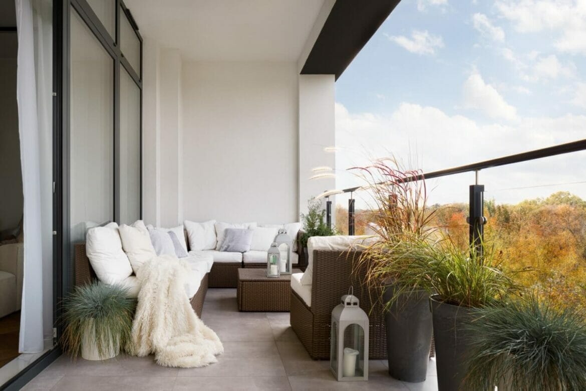 10 Best Feng Shui Plants for Balconies - Petal Republic