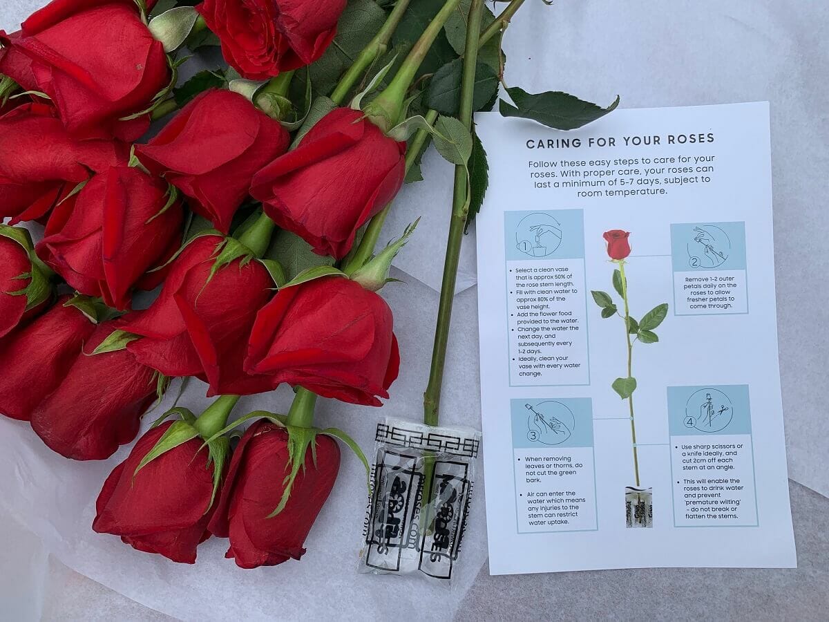 Roses Only Hand-Tested Flower Delivery Review - Petal Republic