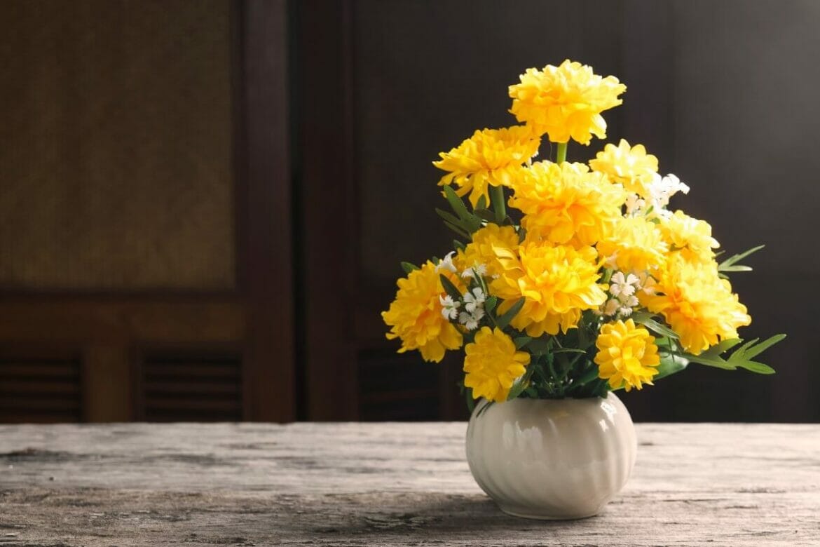 Discover the Amazing Benefits of Marigold Flowers