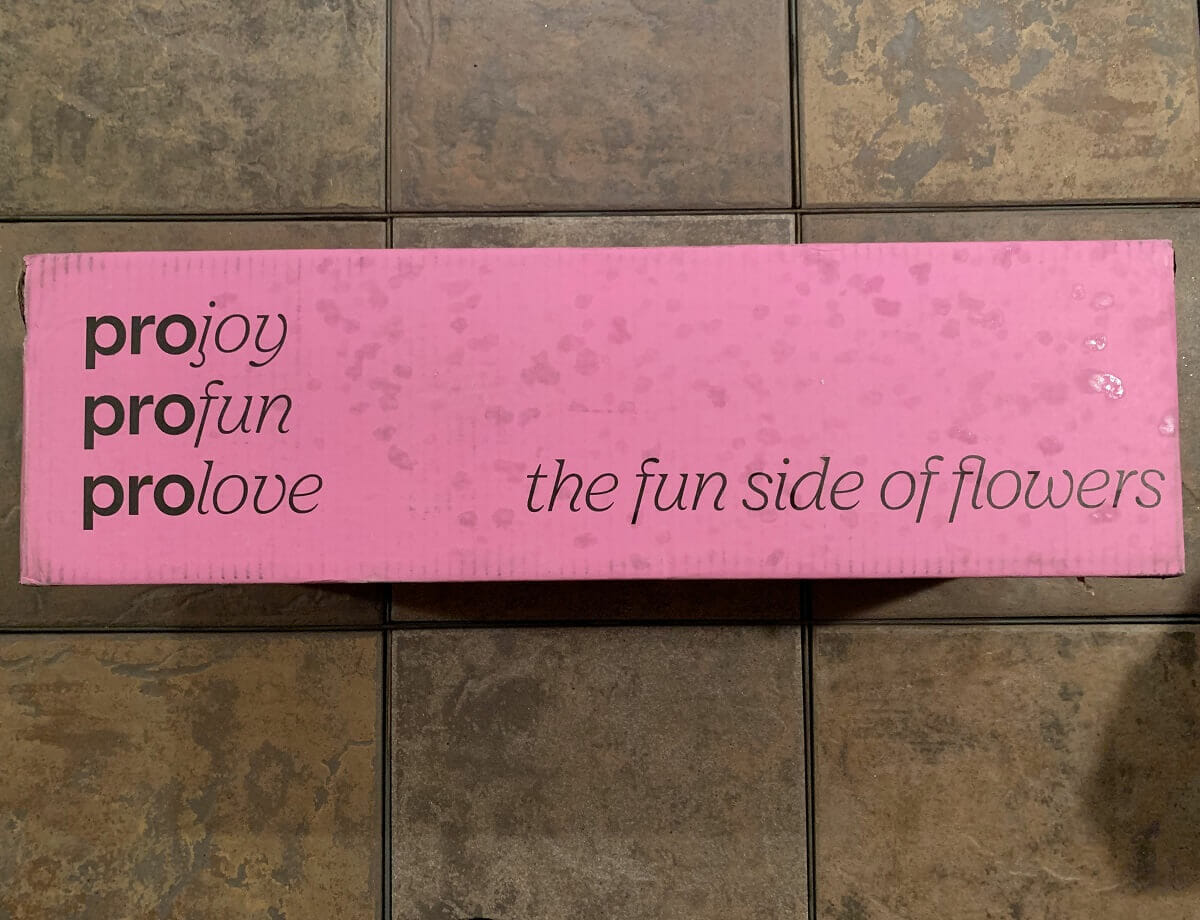 ProFlowers Hand-Tested Flower Delivery Review - Petal Republic