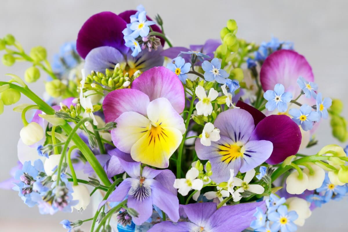 Pansies in Folklore and Floriography: Meaning and Symbolism Explored ...