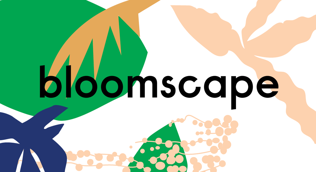 Bloomscape: My Hands-On Plant Delivery Review - Petal Republic