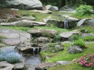 51 Best Botanical Gardens and Arboretums in the USA - Petal Republic
