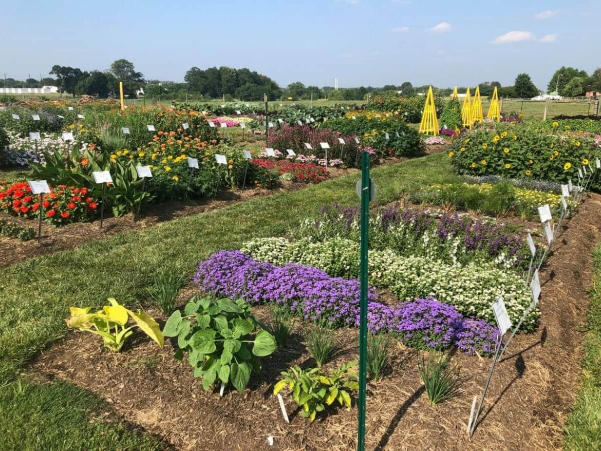 51 Best Botanical Gardens and Arboretums in the USA - Petal Republic