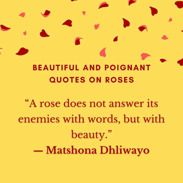 90+ Best Rose Quotes and Messages - Petal Republic