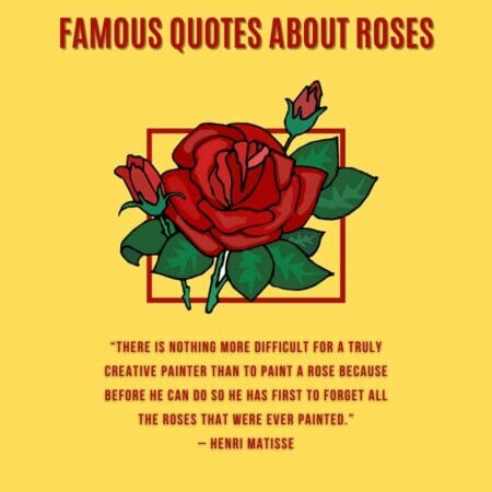 90+ Best Rose Quotes and Messages - Petal Republic