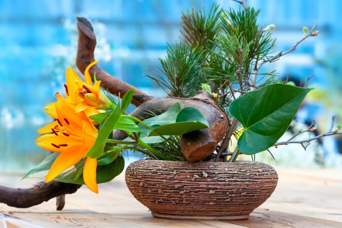 Orange Flowers: Meanings, Symbolism, and Folklore - Petal Republic