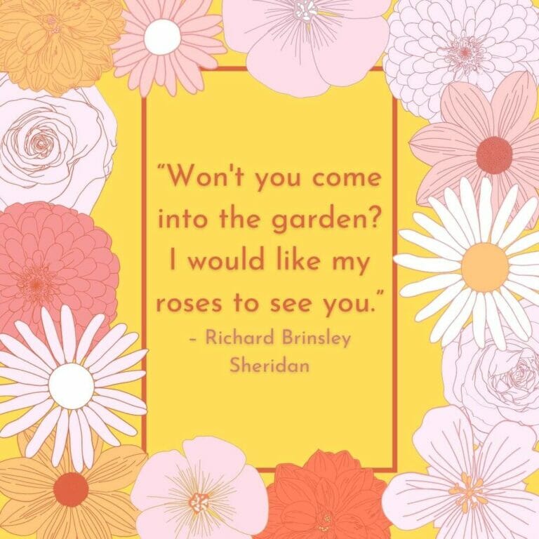 90+ Best Rose Quotes and Messages - Petal Republic