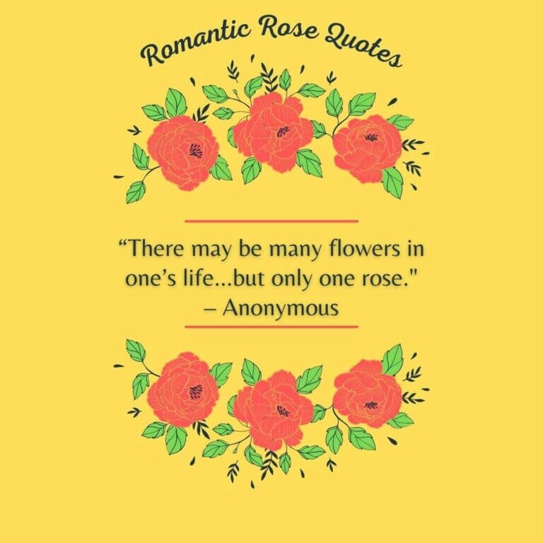 90+ Best Rose Quotes and Messages - Petal Republic