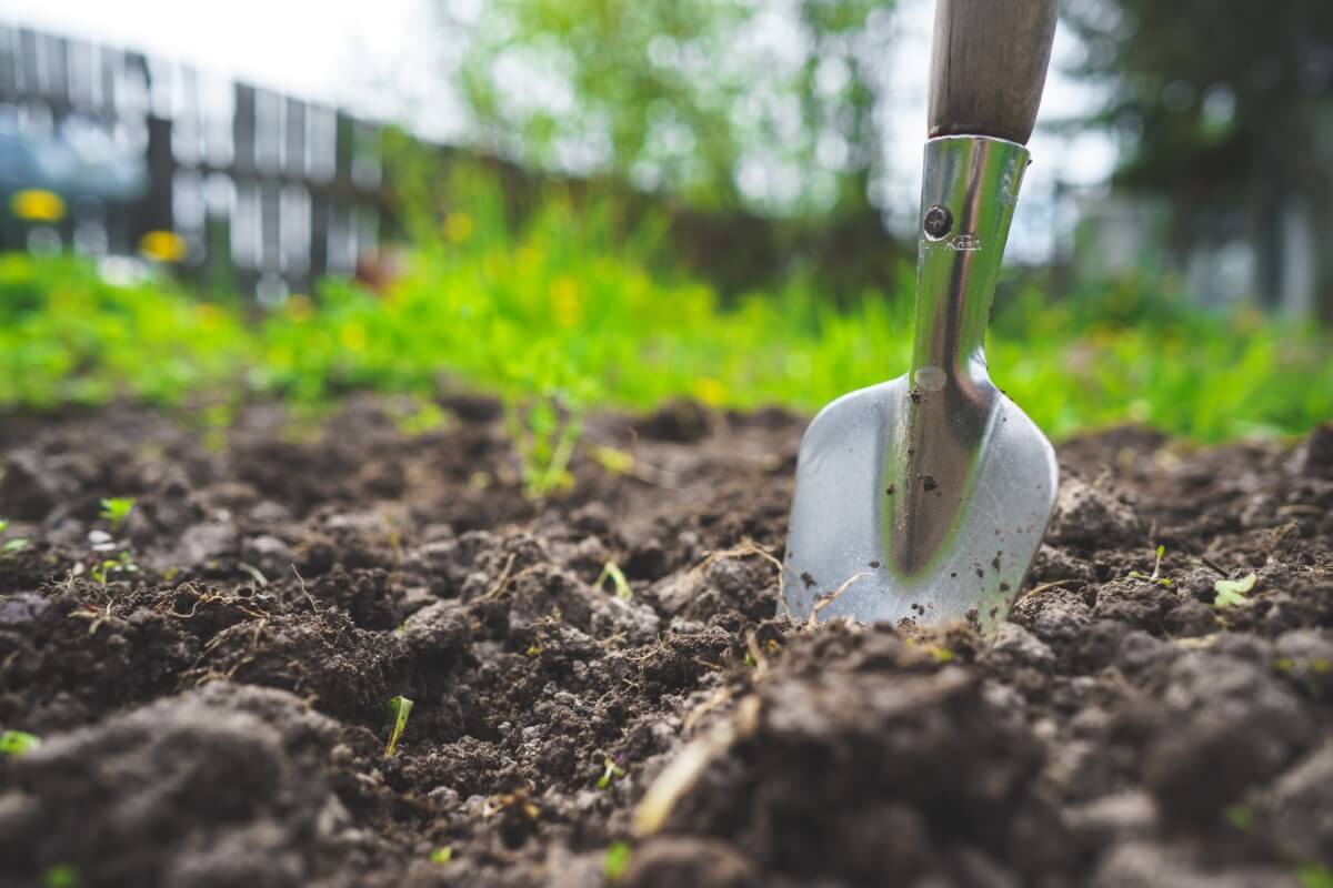 How to Amend Your Soil: Building Better Garden Soil 101 - Petal Republic