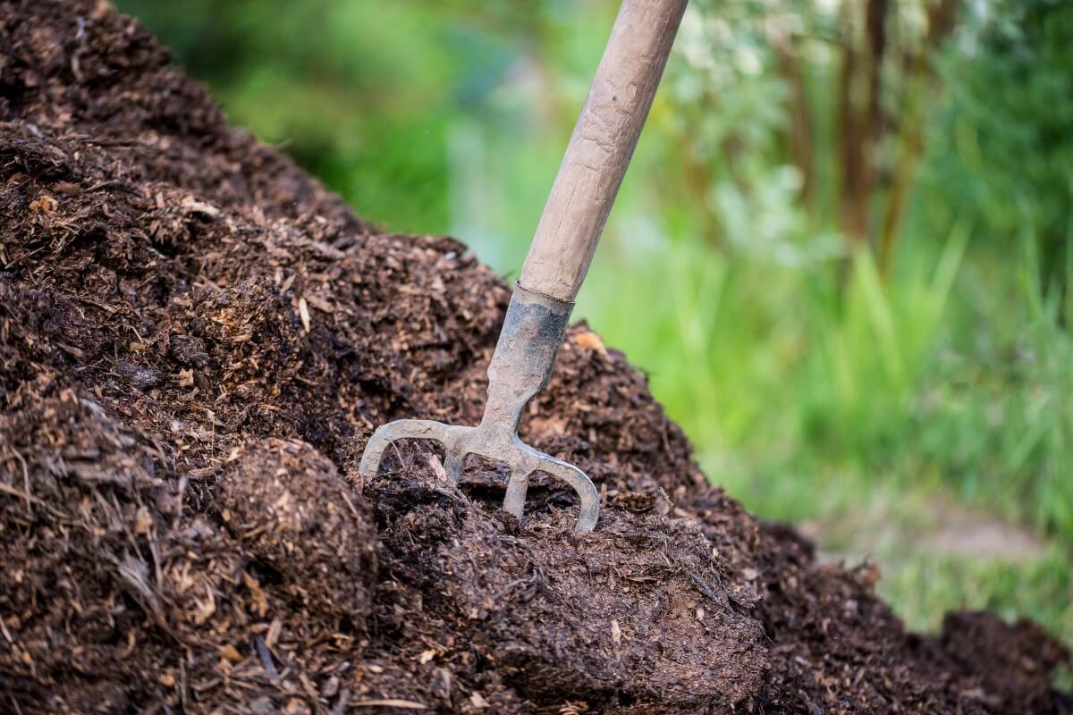 How to Amend Your Soil: Building Better Garden Soil 101 - Petal Republic