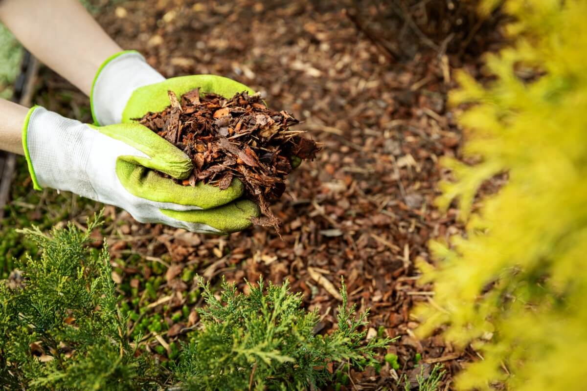 How to Amend Your Soil: Building Better Garden Soil 101 - Petal Republic