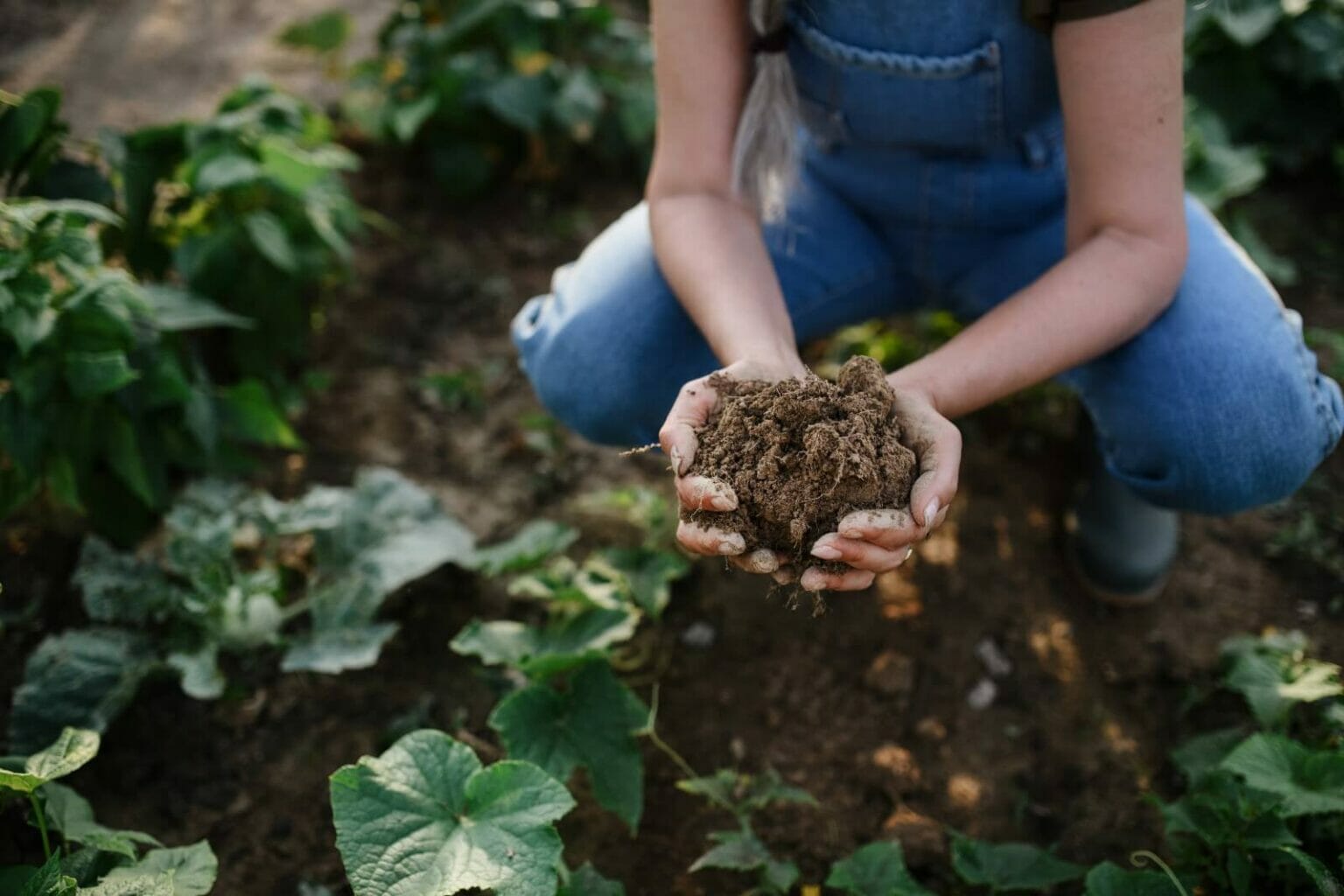 How to Amend Your Soil: Building Better Garden Soil 101 - Petal Republic