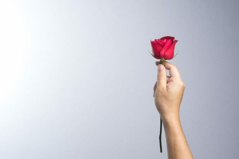 14 Best Types of Flowers to Gift on A First Date - Petal Republic