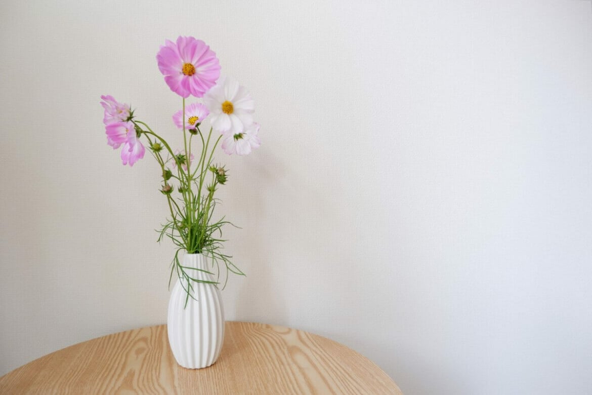 How To Cut Cosmos Flowers For Beautiful Floral Arrangements - Petal ...