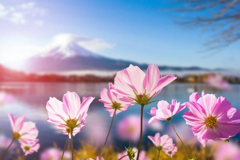 33 Beautiful Types of Japanese Flowers (Plus When and Where to See Them ...