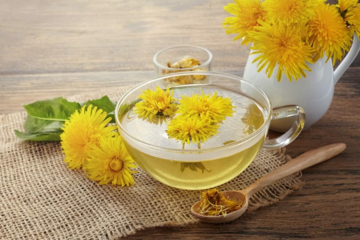 10 Amazing Uses and Benefits of Wildflowers - Petal Republic