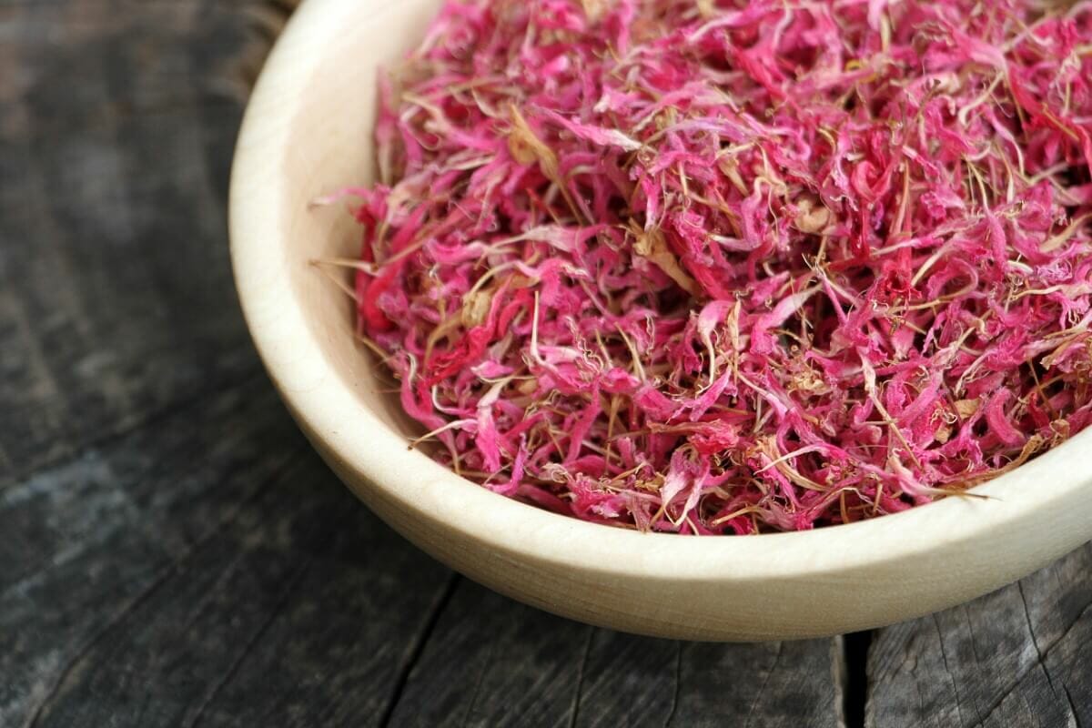 11 Healing Flowers in Traditional Therapies and Medicines - Petal Republic