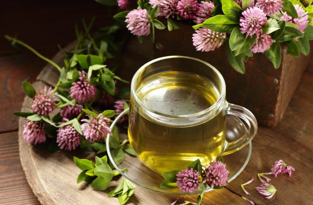 11 Healing Flowers in Traditional Therapies and Medicines - Petal Republic