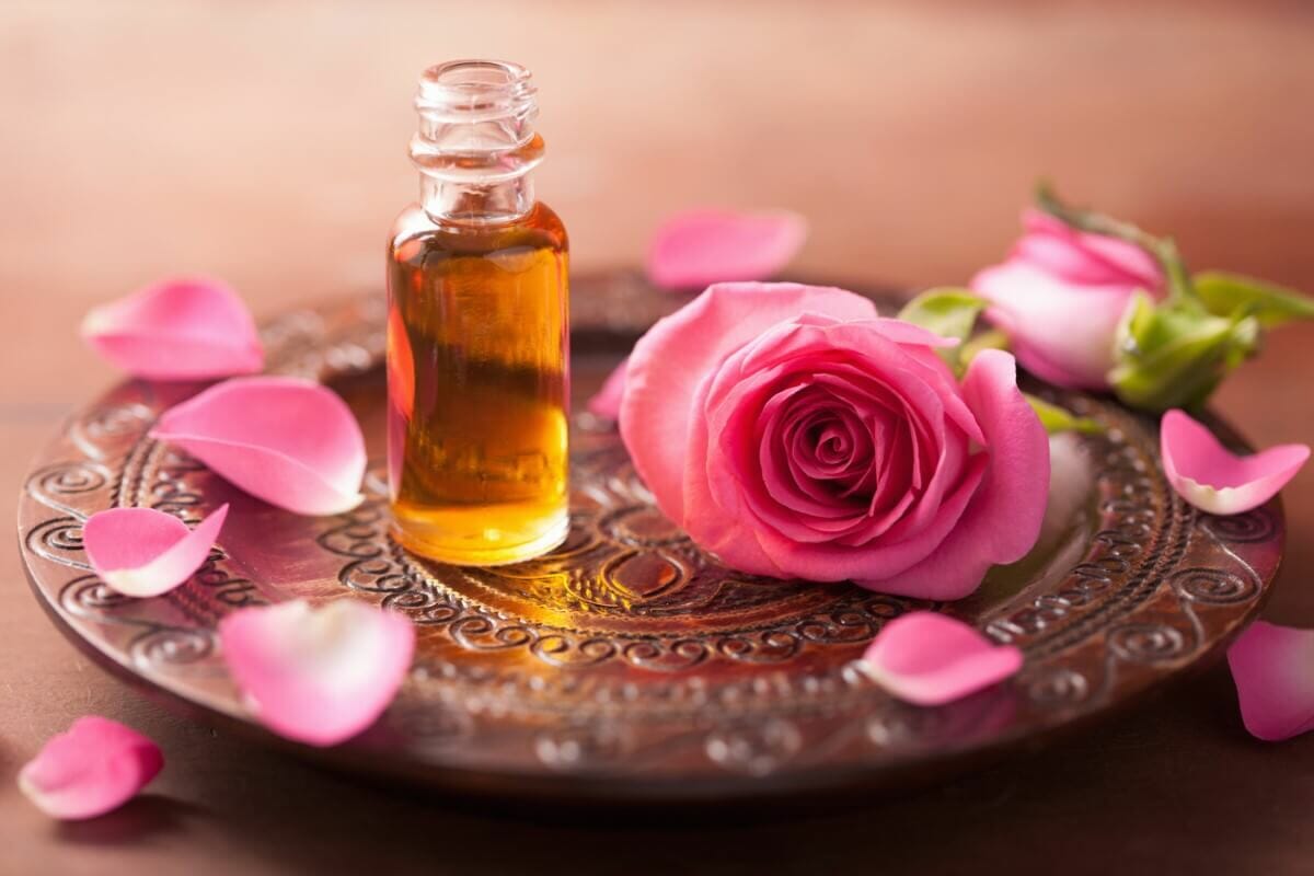 11 Healing Flowers in Traditional Therapies and Medicines - Petal Republic