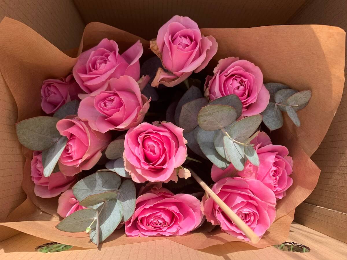 Floom Flower Delivery Review: Your Complete Buying Guide - Petal Republic
