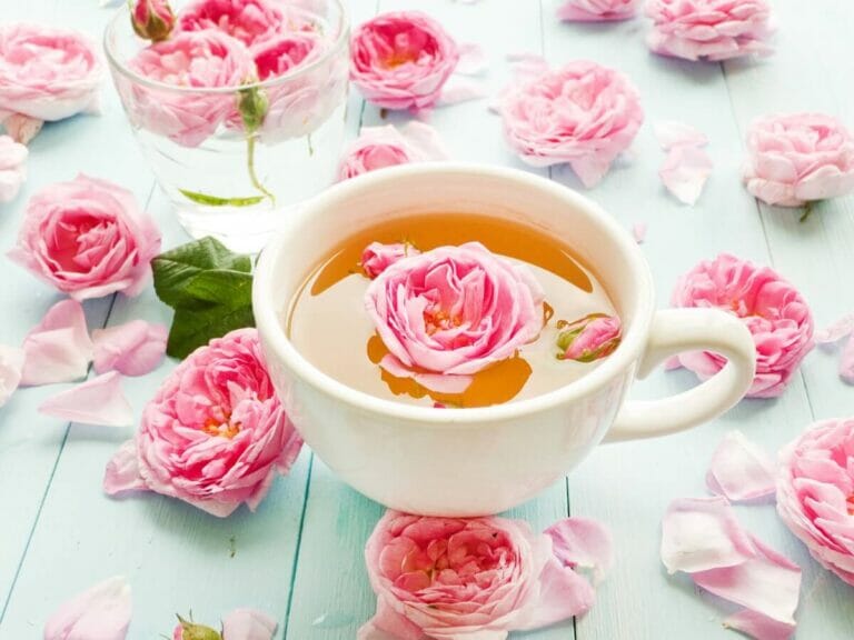 The Ultimate Guide to Choosing and Using Edible Roses - Petal Republic
