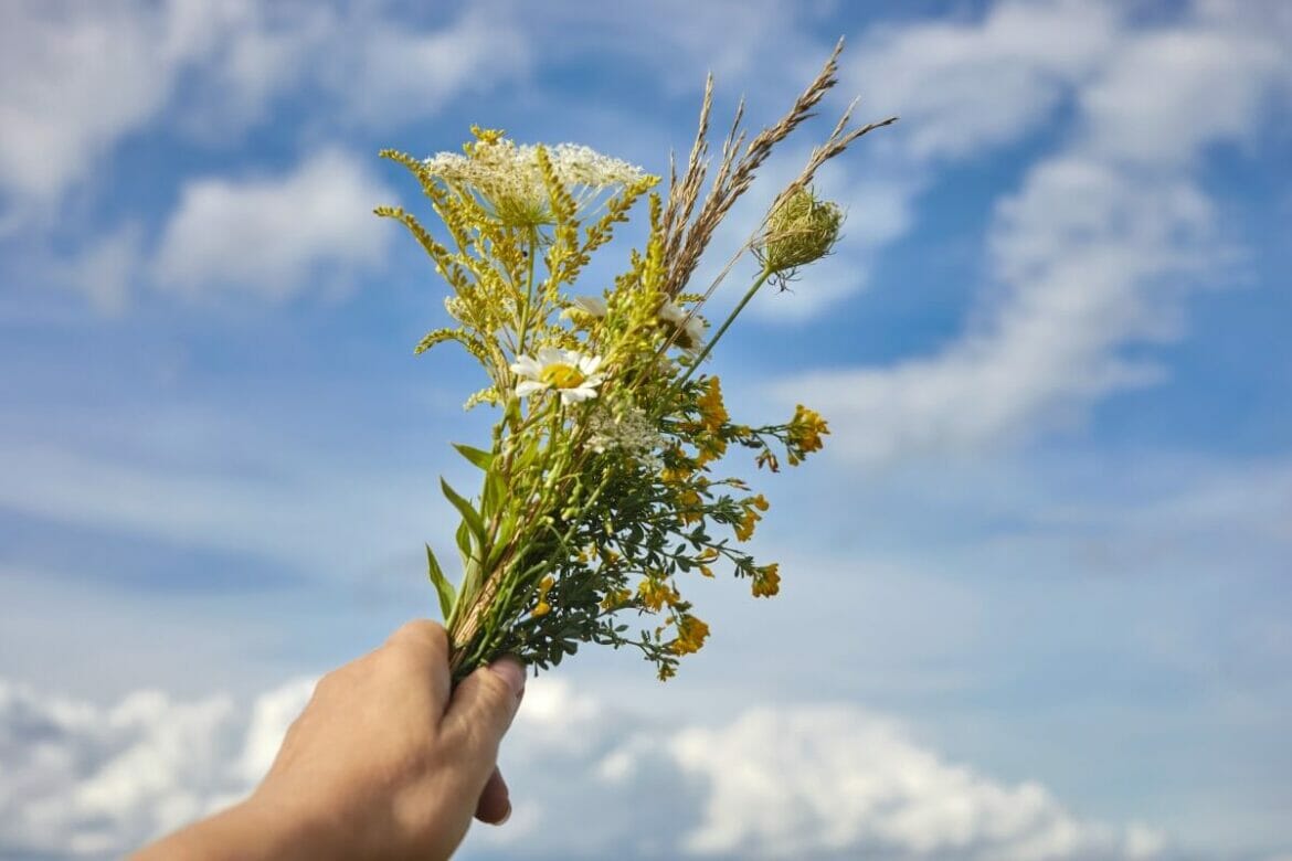Why Posies Meant Everything in the Past (And Still Do Today) - Petal ...