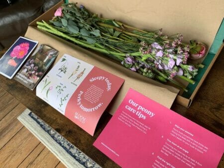 Bloom & Wild Flower Delivery Review: Your Complete Guide to Letterbox ...