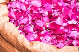 10 Best Types of Edible Roses and How to Use Them - Petal Republic