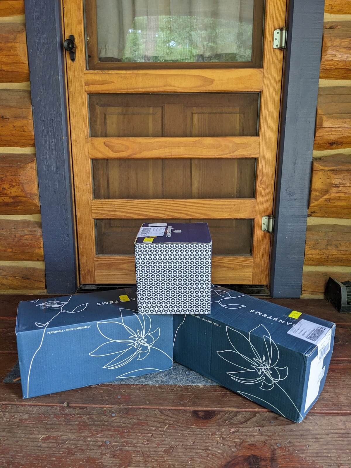 UrbanStems Plant Delivery Review: Modern, Ethically-Sourced Plants for ...