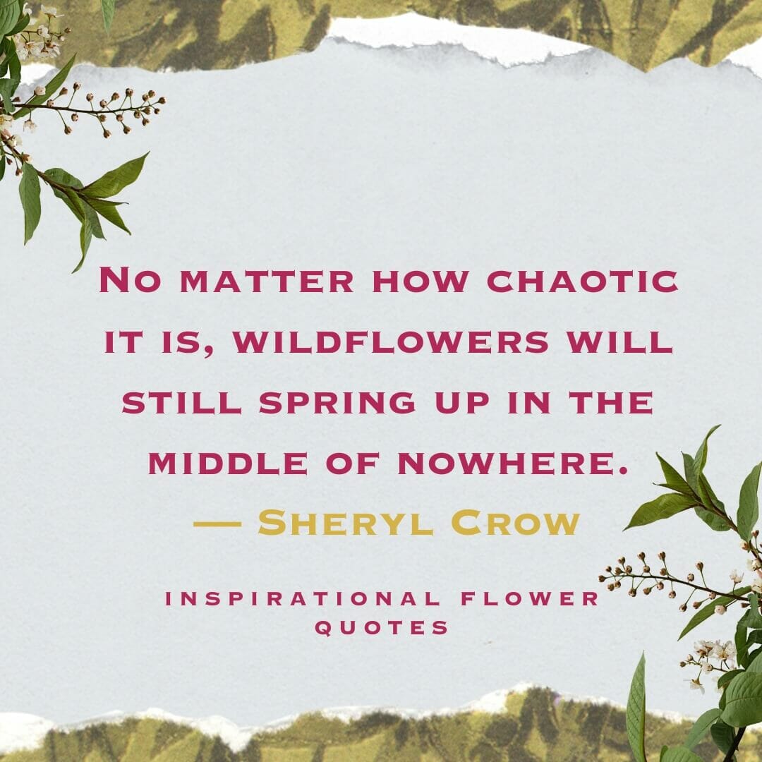 101 Unforgettable Flower Quotes - Petal Republic