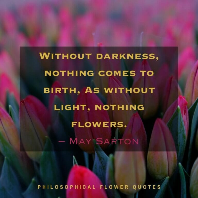 101 Unforgettable Flower Quotes - Petal Republic