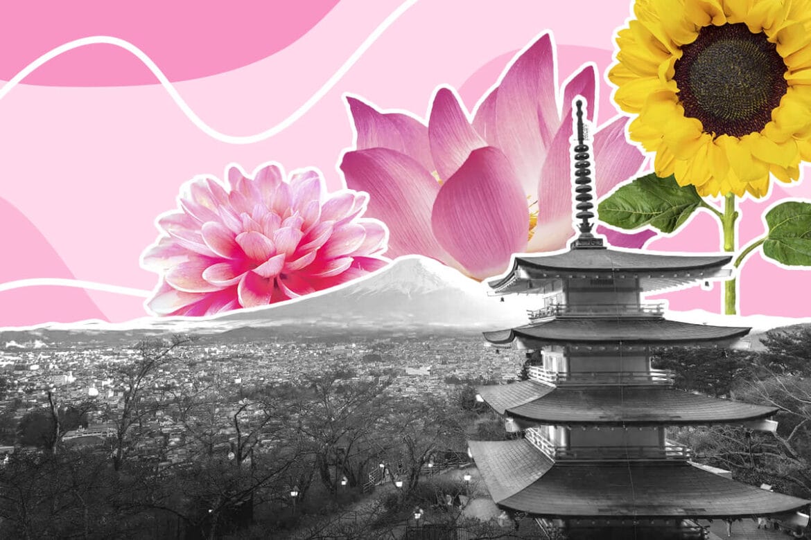 33 Traditional Japanese Flowers (Plus When and Where to See Them ...
