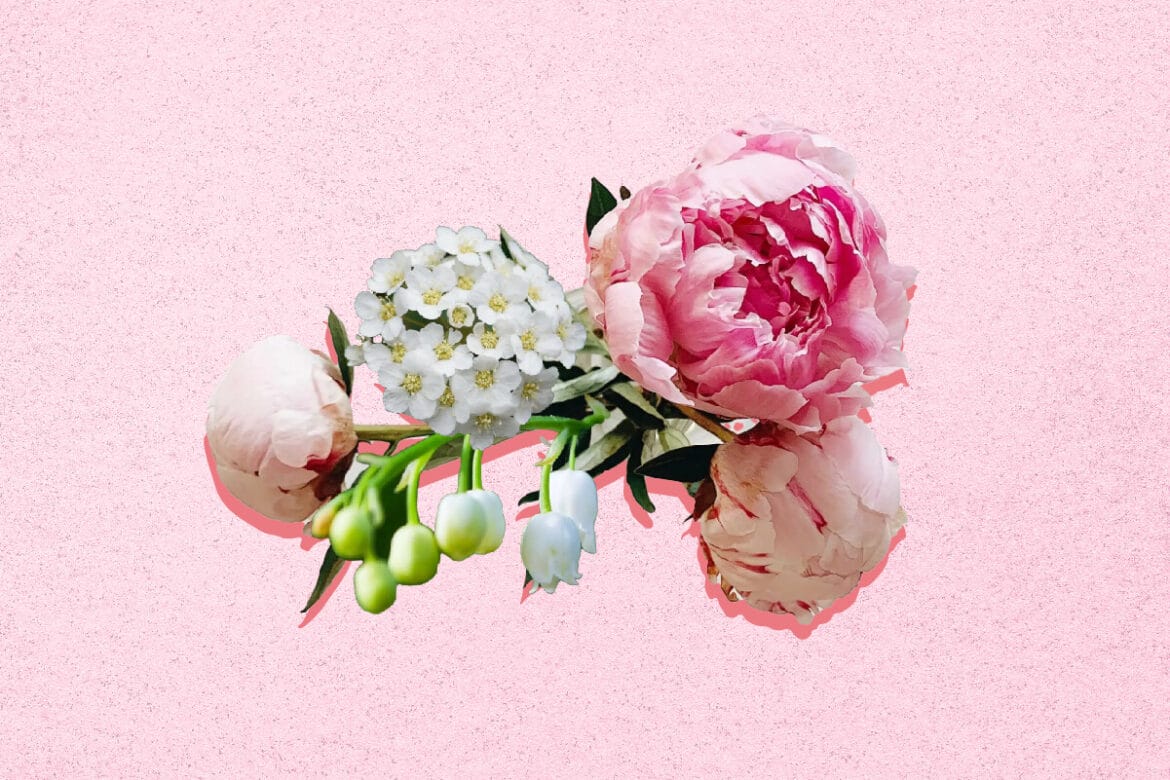 May Birth Month Flowers: Lily of the Valley and Hawthorn - Petal Republic