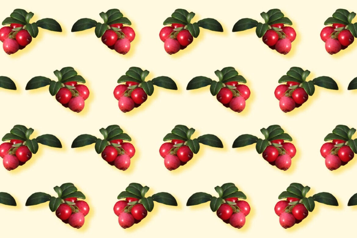 30 Native Virginia Flowers, Plants, and Wildflowers - Petal Republic