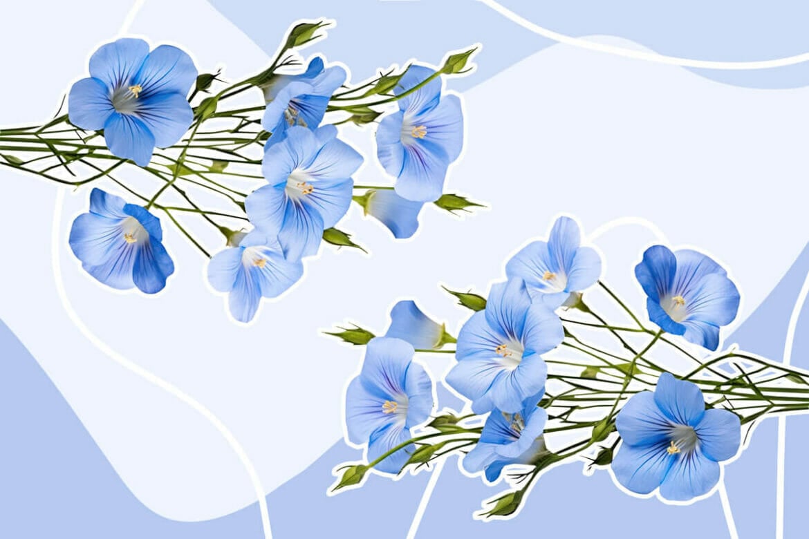 50 Stunning Native Colorado Flowers and Wildflowers