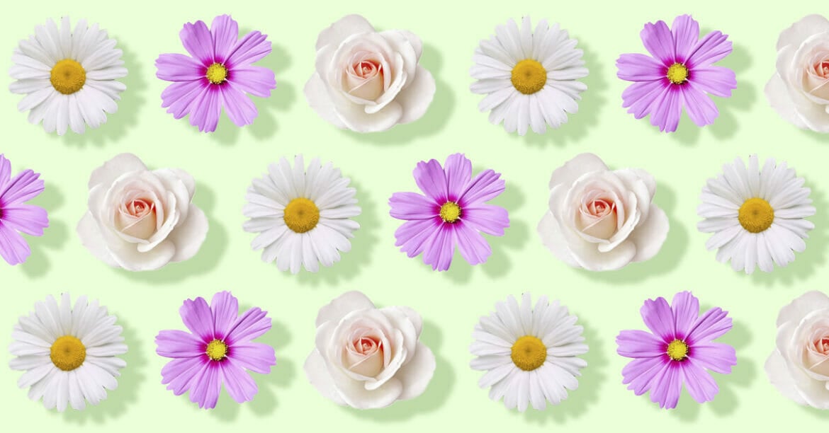 Basics of Floral Design: Understanding Different Types of Flowers ...