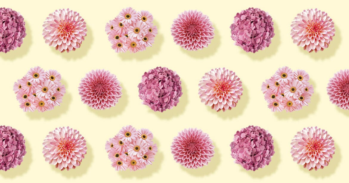 100 Perfectly Pink Flowers for Stunning Garden Displays