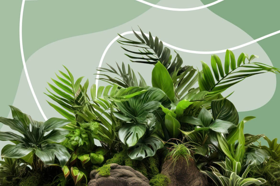 50 Unique Jungle Flowers and Rainforest Plants - Petal Republic