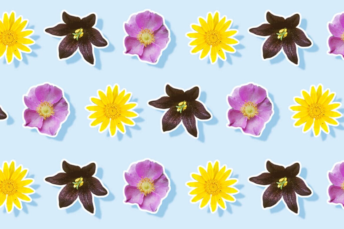 40 Stunning Native Oregon Flowers & Wildflowers - Petal Republic