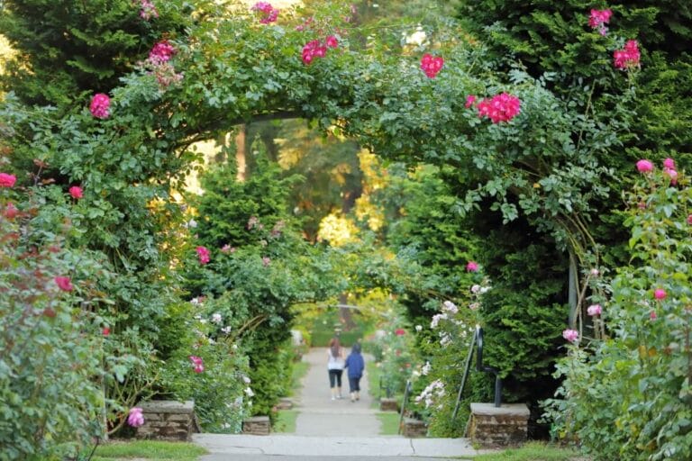 30 Best Rose Gardens in the World You Have To Visit - Petal Republic