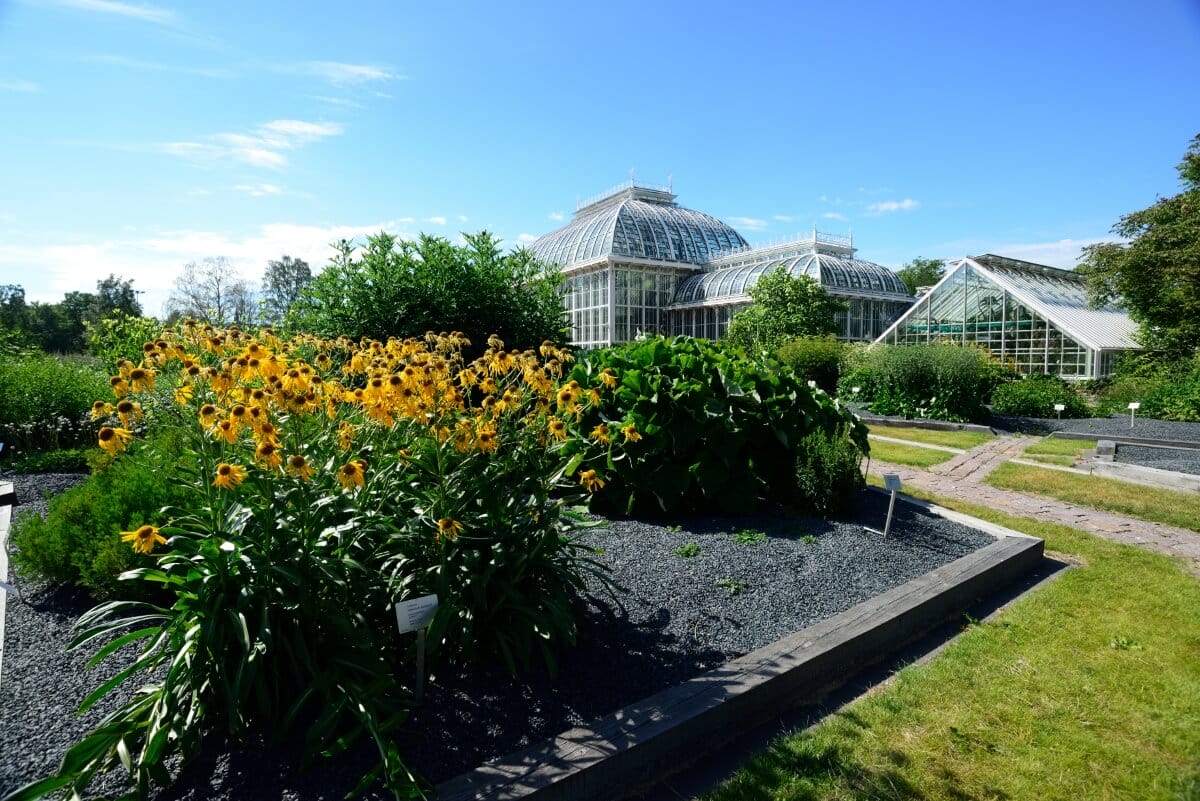 30 Best Rose Gardens in the World You Have To Visit - Petal Republic
